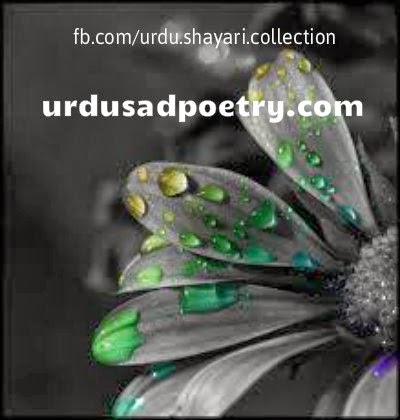 Pathar Hi Lagein Ge Har Simt Se Aa Kar - Urdu Poetry, Urdu Shayari, Sad ...