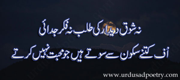 Na Shoq-E-Didar Ki Tulab Na Fiqer-E-Judai - Urdu Poetry, Urdu Shayari ...